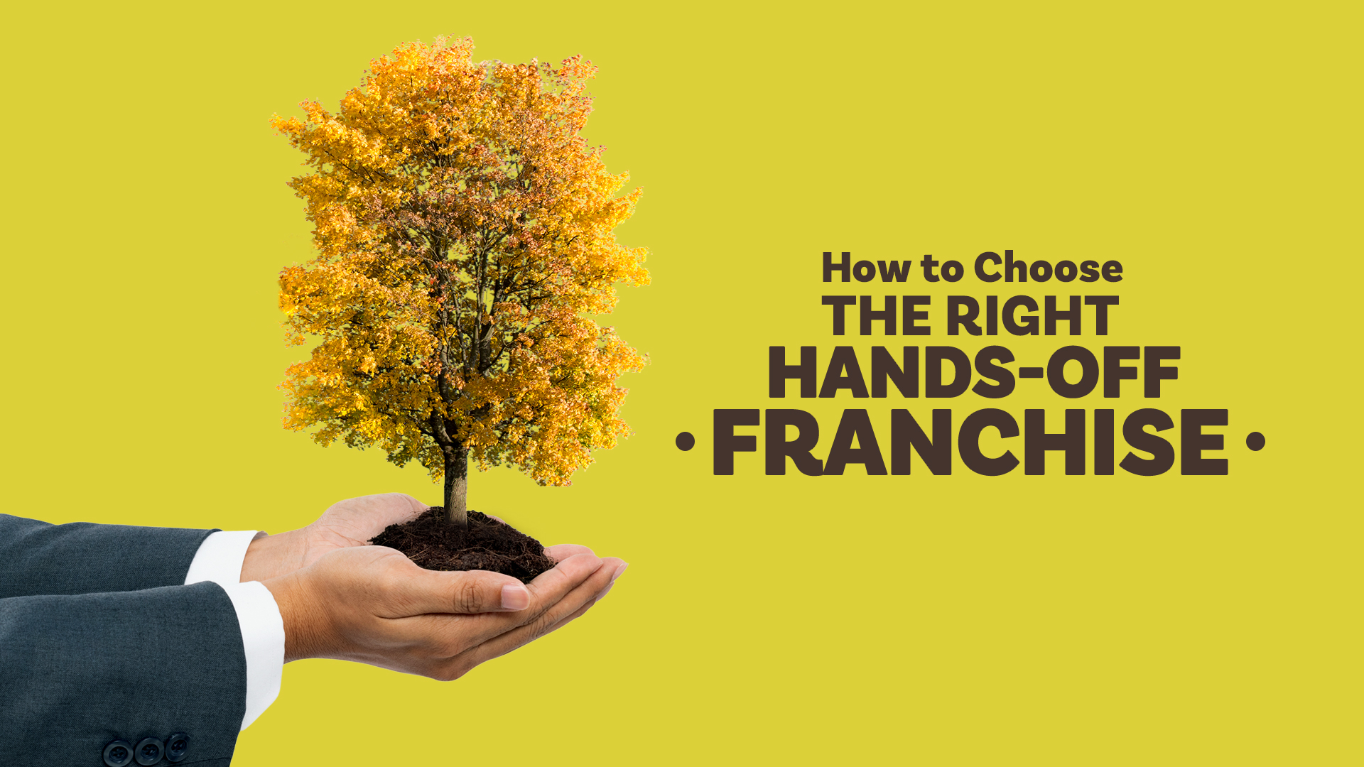 Exploring the Top Hands Off Franchises for Passive Income.